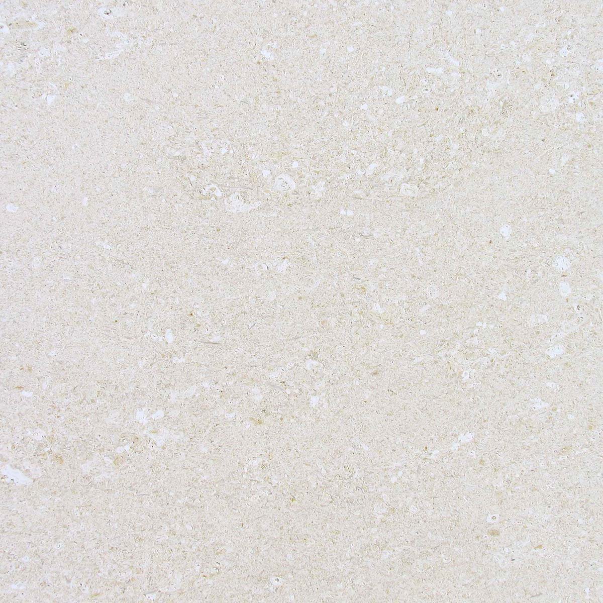 Bianco Avorio Honed - PACIFICA