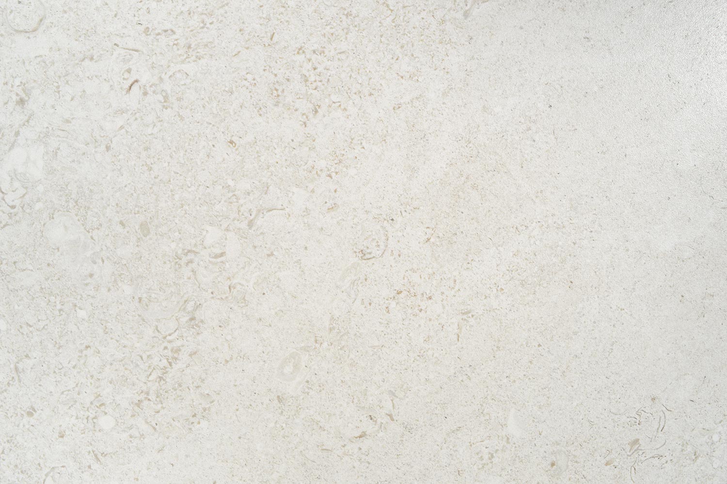 Avorio Limestone - PACIFICA