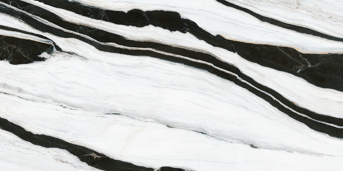 Panda White - PACIFICA