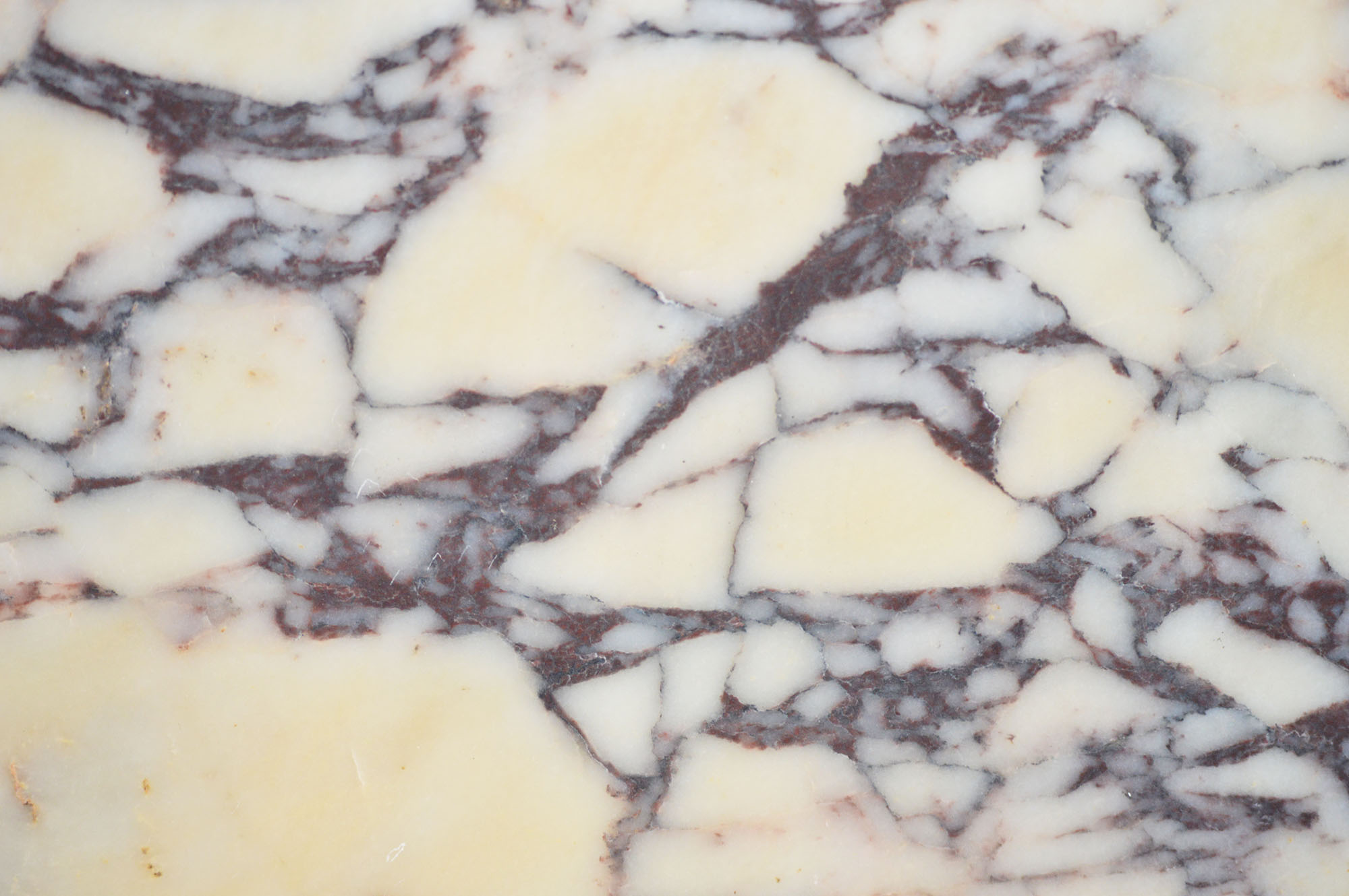 Afyon Violet - PACIFICA