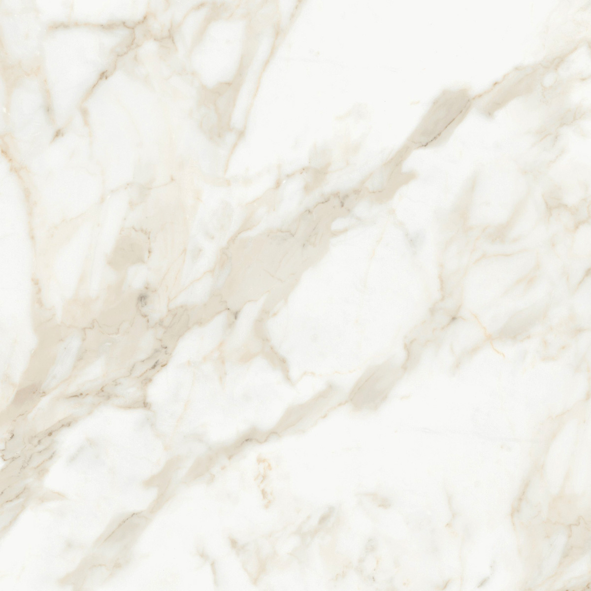 Venato Gold - PACIFICA